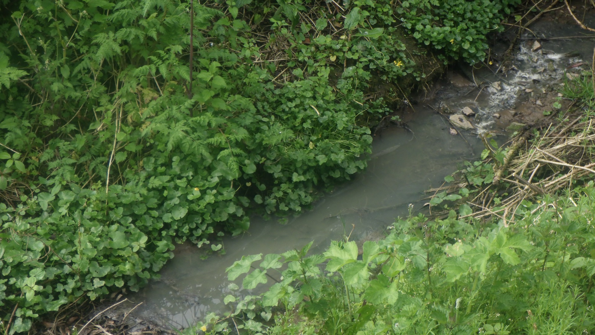 Rectification of Clearwater sewage treatment plant - Wastewater ...